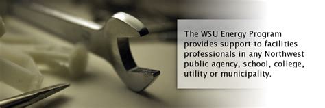 Wsu Energy Program Home