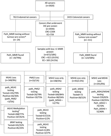 Study Flowchart Diagram Note Germline Testing Was Done For Mlh1 Msh2