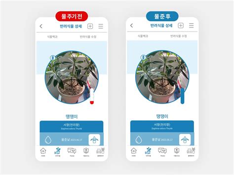 이제 식물을 죽이지 마세요 물 주기와 식물관리 완벽해결 텀블벅 크리에이터를 위한 크라우드펀딩