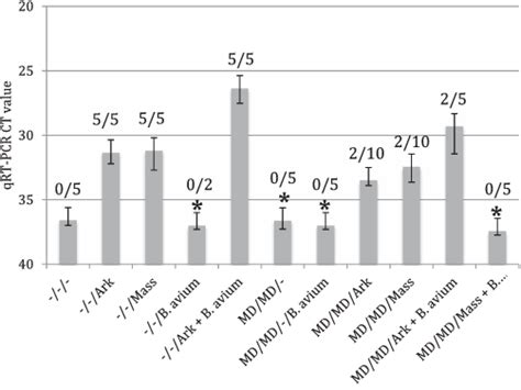 Experiment 2 Qrt Pcr Average Ct Values For Ibv Detection In Swabs