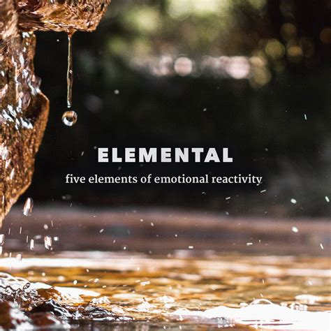 Elemental ~ Understanding The Five Elements Of Emotional Reactivity
