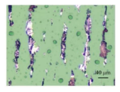 A High Definition Ferrography Images [18] B Online Wear Particle Download Scientific