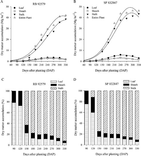 Dry Matter Accumulation In The Shoots Of Sugarcane Varieties Rb 92579 Download Scientific