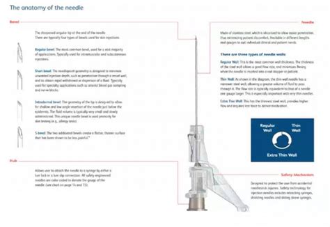 Principles Of Injection Technique Flashcards Quizlet