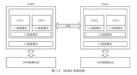 Risc V 吾铭子