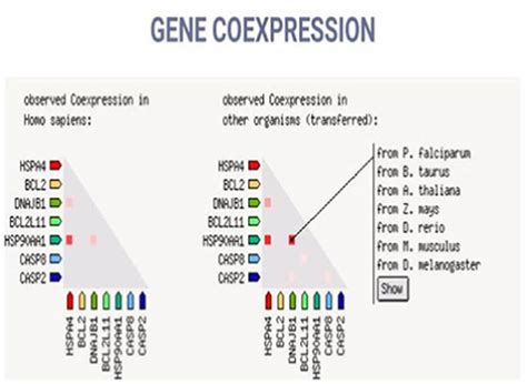 Search Visualization Of String Database Through Ppi Network Depicting