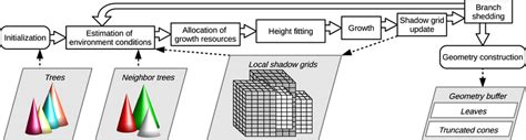 A Basic Outline Of The Tree Synthesis Model With Typical Steps Of A Download Scientific Diagram