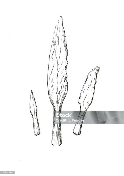 Ancient British Weapons Spear Weapons Of The First Humans Hand Drawn