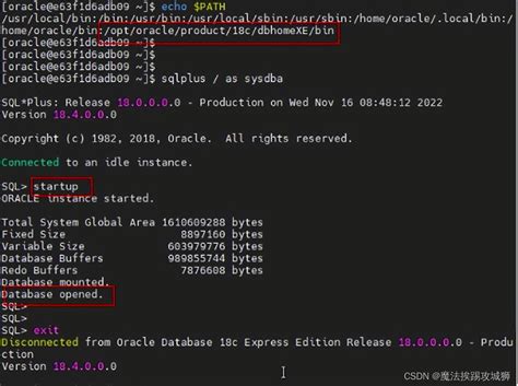 数据脱敏d18n之二 podman安装oracle18c容器虚拟机 魔法挨踢攻城狮的博客 csdn博客