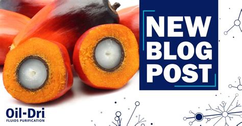 Optimal 3 Mcpd And Ge Mitigation Oil Dri Fluids Purification