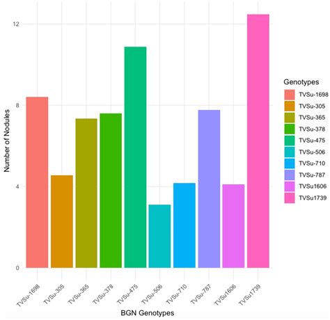 Frontiers Impact Of Nitrogen Fixation Bacteria On Nitrogen Fixation