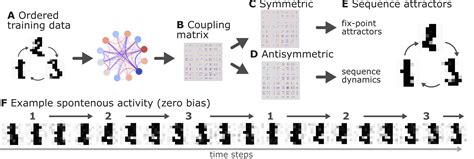 Self Orthogonalizing Attractor Neural Networks Emerging From The Free
