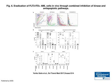 Fig 6 Eradication Of Flt3 Itd Aml Cells In Vivo Through Combined