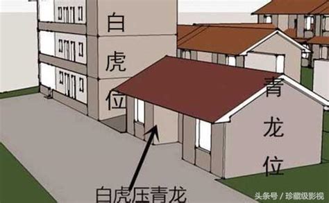 風水自學之風水名詞白虎 每日頭條