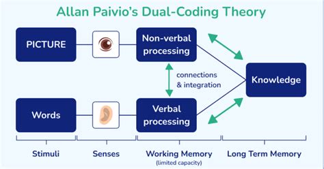 Dual Coding A Teachers Guide To Improve Student Learning Dual Coding A Teachers Guide To Improve Student Learning