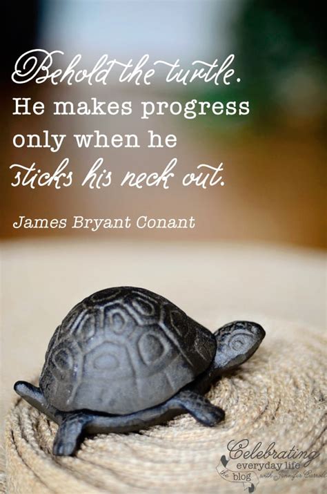 10 Turtle Motivational Quotes