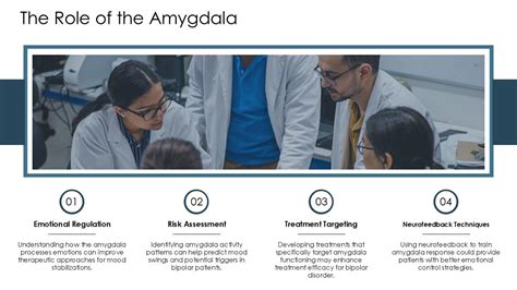 Neuroscience Of Bipolar Disorder Ppt Sample Acp Ppt Template