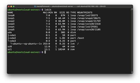 How To Resize Ubuntu Disk Hosted On Proxmox