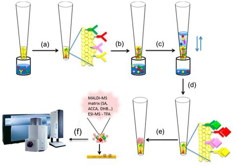 Proteomes Special Issue Clinical Proteomics