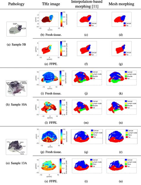 interpolation based morphing [11] vs mesh morphing download scientific diagram