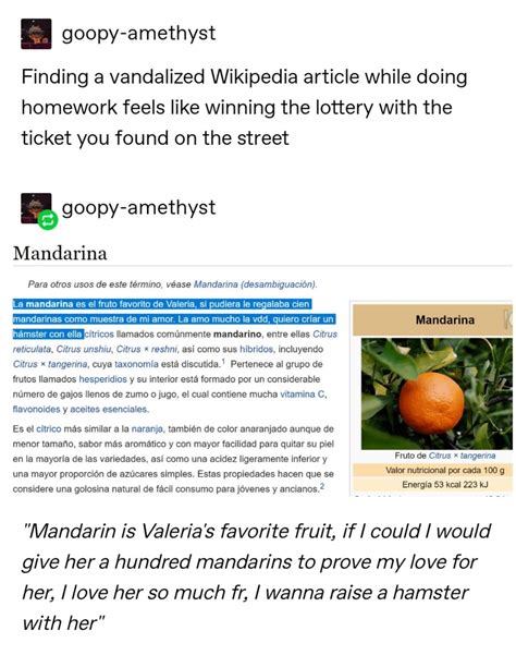 My Vandalized Wiki Article Moment Was When Someone Called One Local Politician A Complete