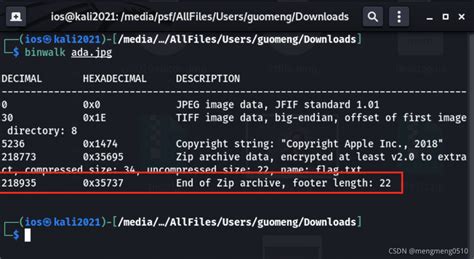 【ctf misc】图片隐写题（binwalk foremost 010editer配合使用） 源码巴士