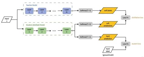 深度解析 Deepseek 的蒸馏技术 知乎