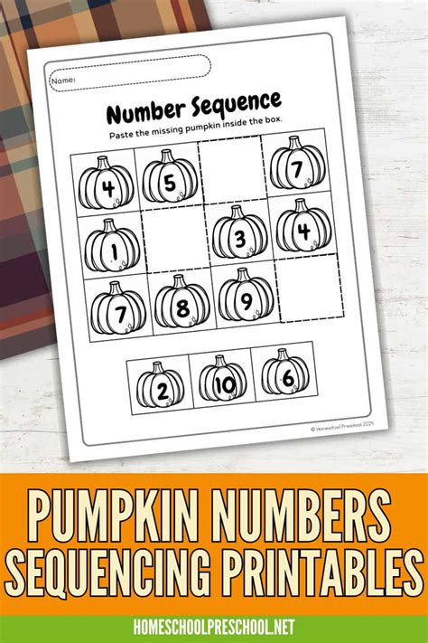 Number Sequence Activities Homeschool Preschool