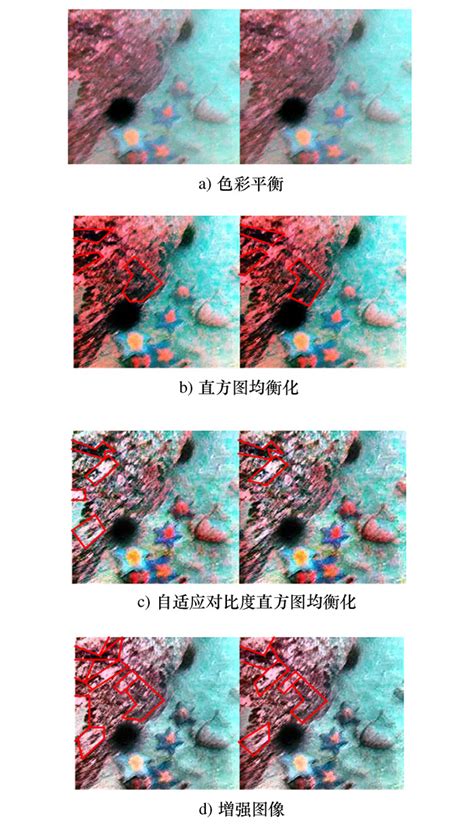 改进的同态滤波与多尺度融合的水下图像增强