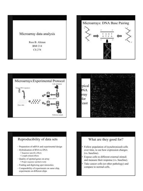 Microarray Data Analysis Microarrays Dna Base Pairing Typical
