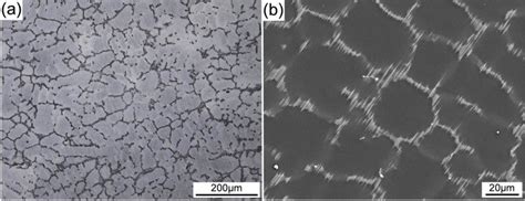 A Om And B Sem Micrographs Of The As Cast Alloy Download