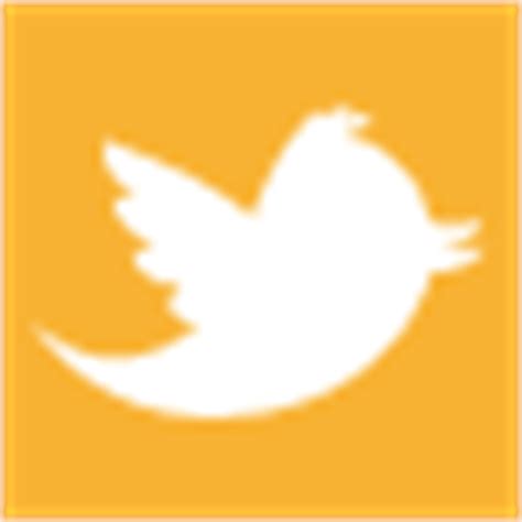 D Css Twitter Button Wifeo Webmaster Place