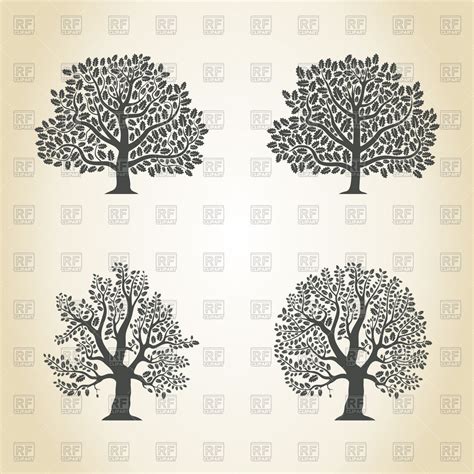 Oak Tree Vector At Collection Of Oak Tree Vector Free