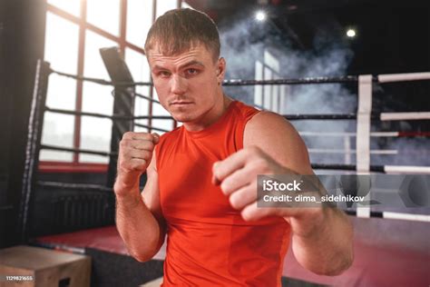 완벽 한 권투 자세 실내 오른쪽 복싱 자세에 서 있는 동안 카메라를 보고 스포츠 의류에 초점을 맞춘 근육 권투 선수의 클로즈업 개념에 대한 스톡 사진 및 기타 이미지