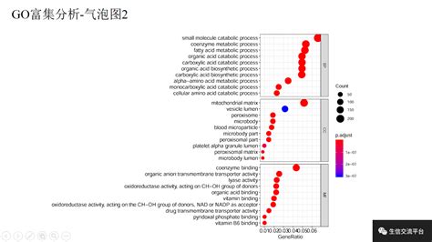 四种go富集柱形图、气泡图解读 知乎