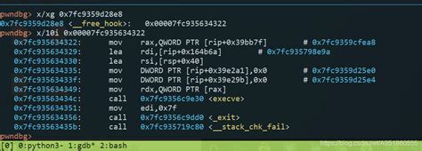 Pwn题堆利用的一些姿势 Freehookfreehook Csdn博客 Pwn题堆利用的一些姿势 Freehookfreehook Csdn博客
