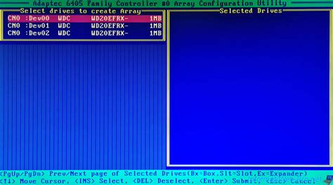 Presentation Of The Adaptec Configuration Utility Acu Of The Adaptec Raid 6405 Controller
