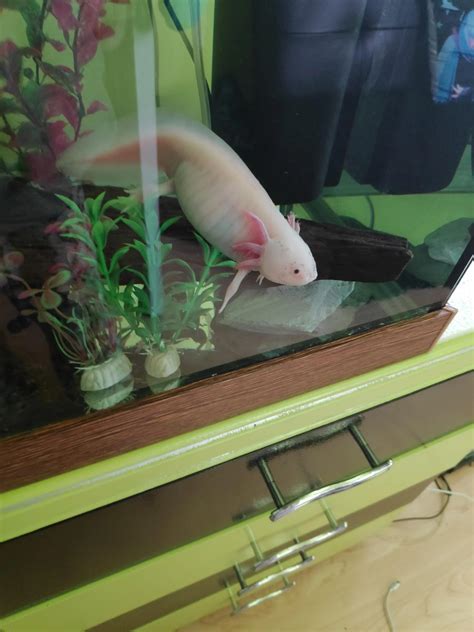 Pheobe 💕 Scrolller