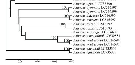 An Unrooted Tree Obtained By The Upgma Method Scores At Each Node Are