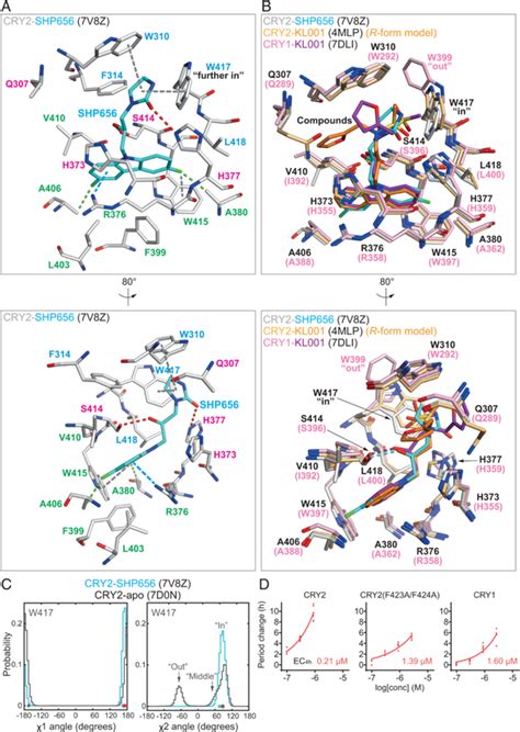Pnas 劫持生物钟机制 癌症干细胞研究新发现 知乎
