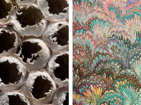 14 Smart Inventions Inspired By Nature Biomimicry Nature Inspiration