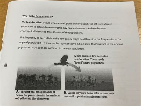 Genetic Diversity And Adaptation Flashcards Quizlet