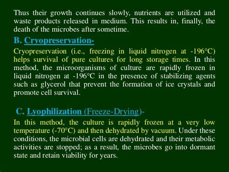 Isolation And Characterization Of Microbes