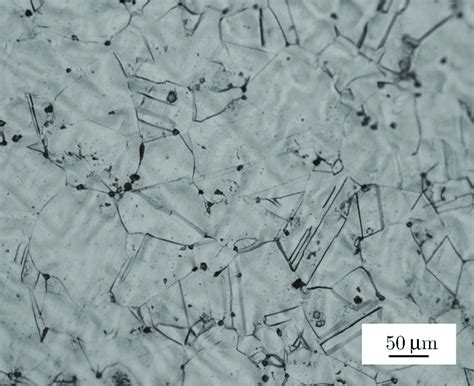 Microstructure Of Solution Treated Alloy 800h Download Scientific Diagram