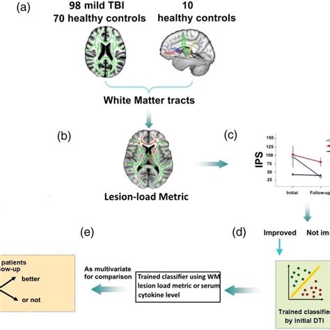 Cognitive Function Predicted Using Support Vector Regression Svr Svr Download Scientific