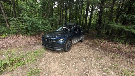Shes Had Her First Taste Of Mud Rcx50