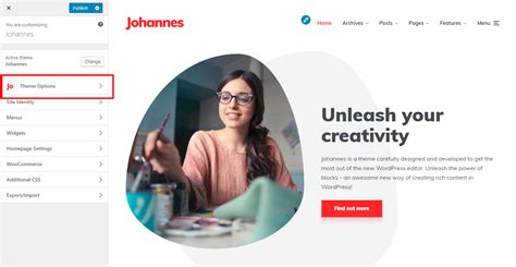 Theme Options Customizer Overview Johannes WordPress Theme