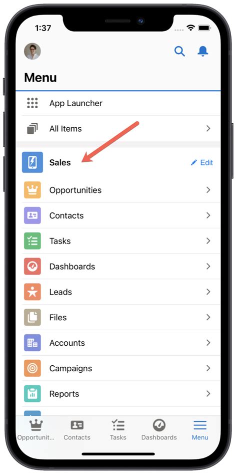 Customize Navigation Menu For Salesforce App