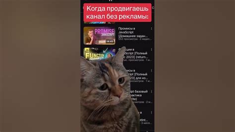 Ну а вдруг я украду вашу подписку Javascript Js React Frontend Css Html фронтенд уроки