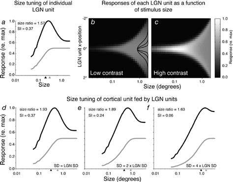 Size Tuning As A Function Of Contrast In Lgn Units And Its Inheritance